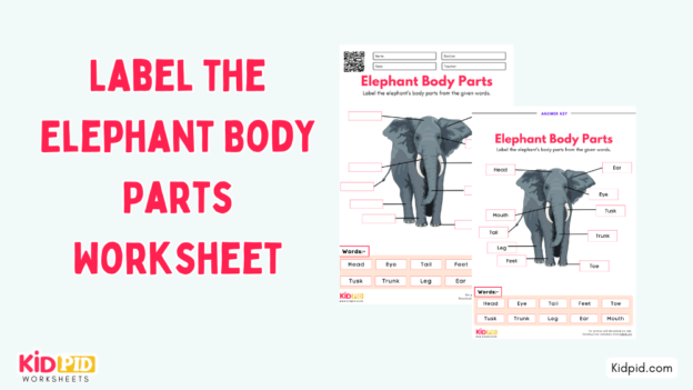 Label the Elephant Body Parts Worksheet - Kidpid