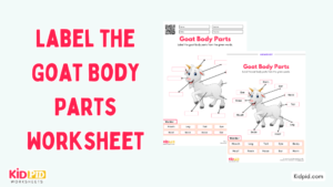 Label the Goat Body Parts Worksheet - Kidpid