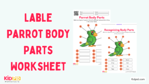 Lable Parrot Body Parts Worksheet - Kidpid