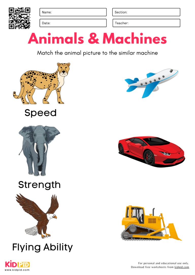 Forces & Machines Worksheet For Grade 1 - Kidpid