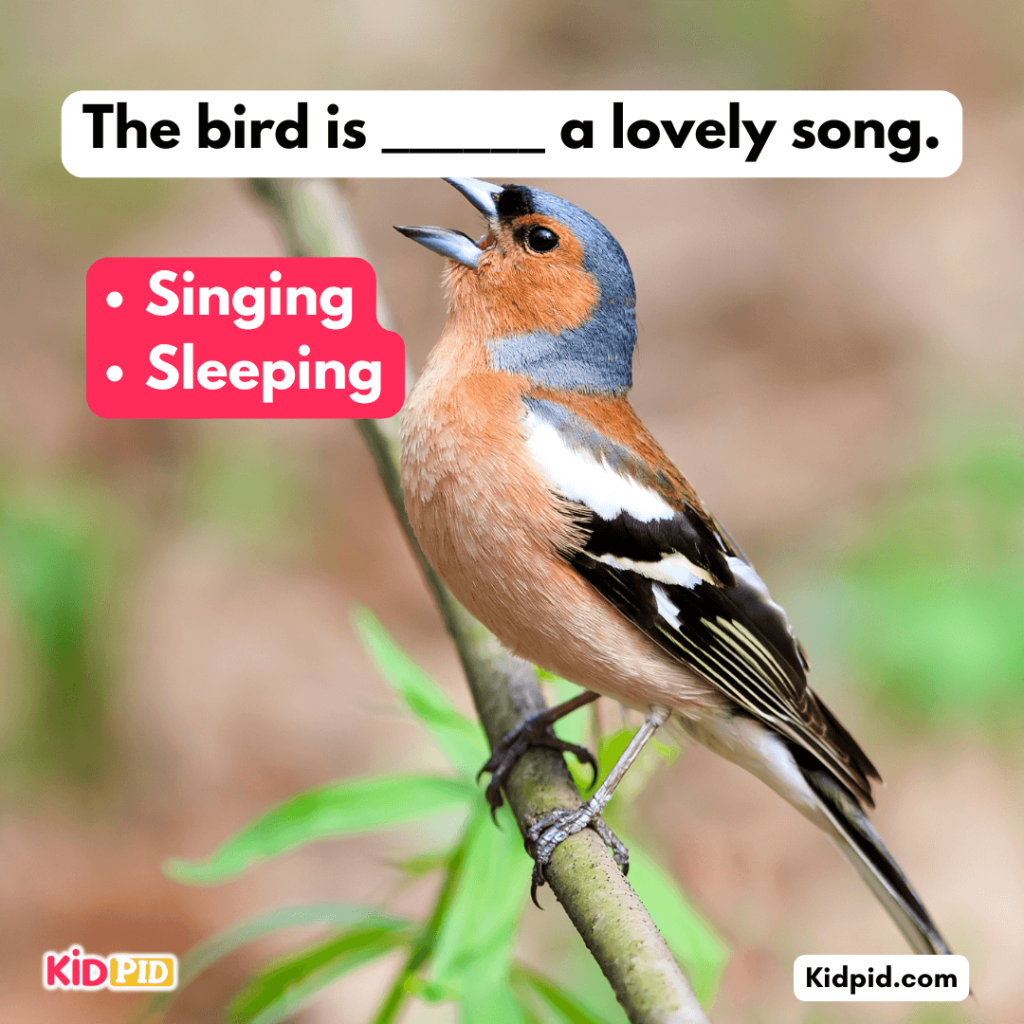 Fill in the Blanks Vocabulary Exercises For Grade 2 - Kidpid