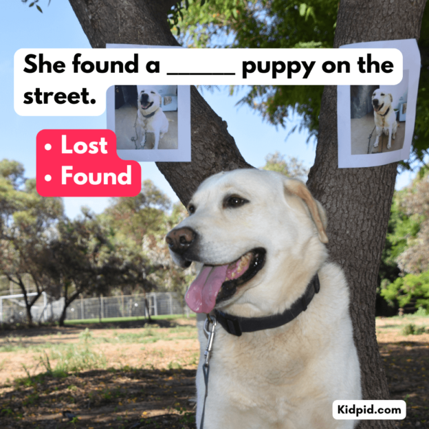 Fill in the Blanks Vocabulary Exercises For Grade 2 - Kidpid