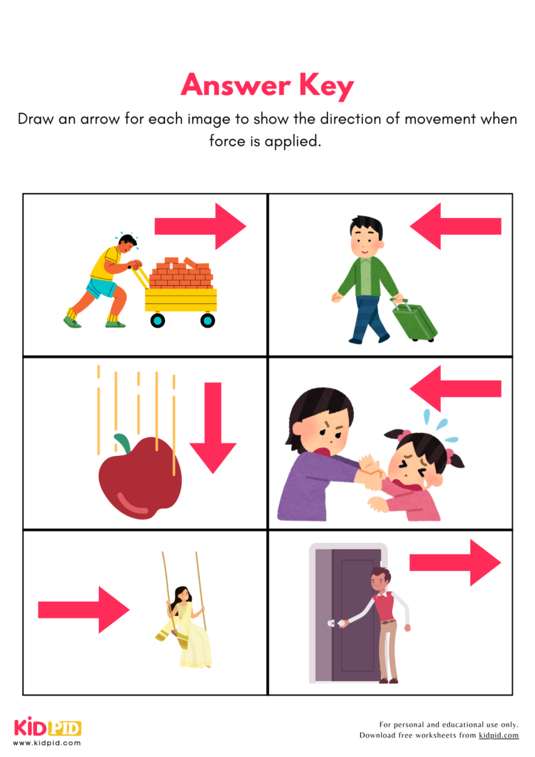 Forces & Machines Worksheet For Grade 2 - Kidpid
