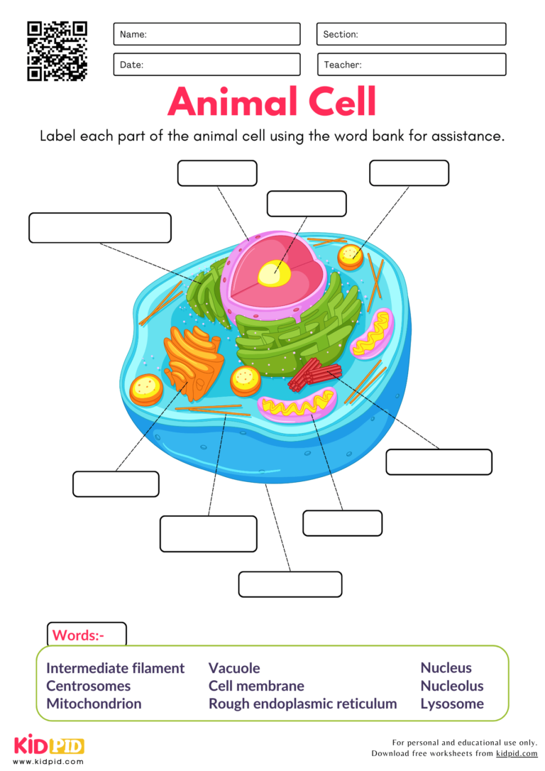 Label Parts of Animal Cell Worksheet - Kidpid