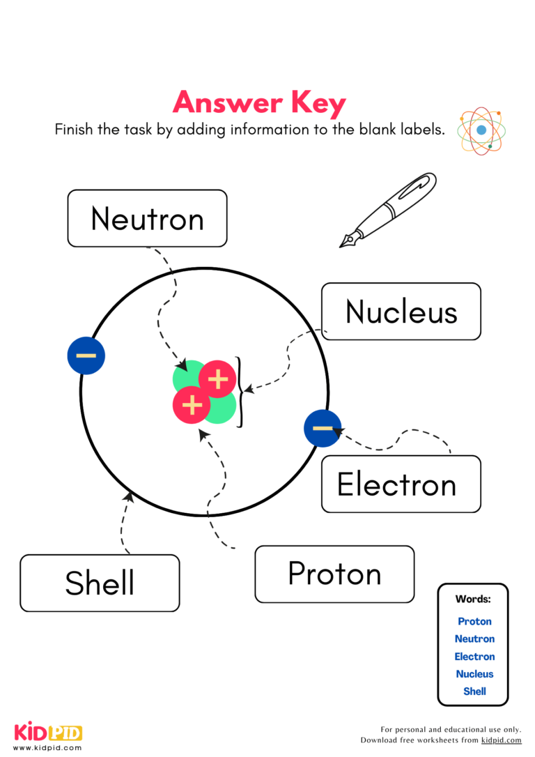 Label Parts of Atom Worksheet - Kidpid