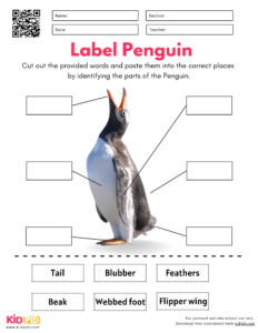Label Penguin Body Parts Worksheet - Kidpid