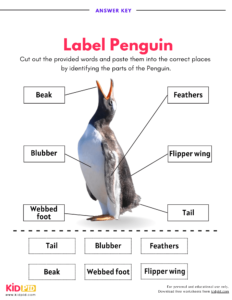 Label Penguin Body Parts Worksheet - Kidpid