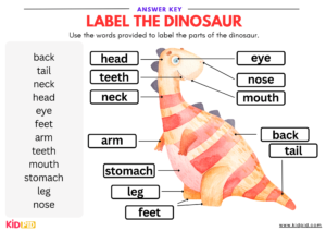 Label the Dinosaur Body Parts Worksheet - Kidpid