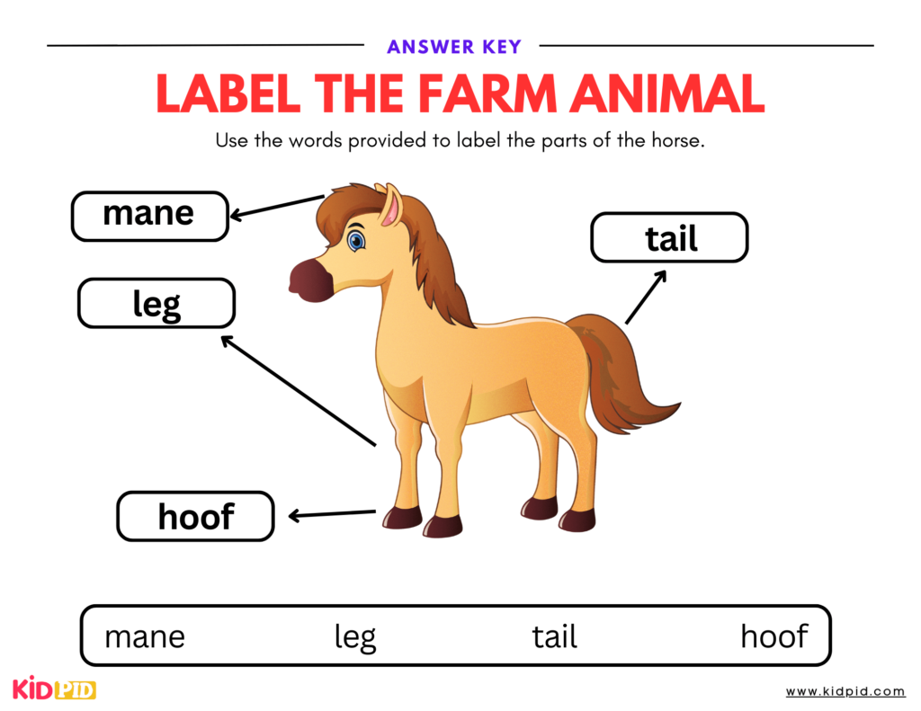 Label The Farm Animals Worksheet - Kidpid
