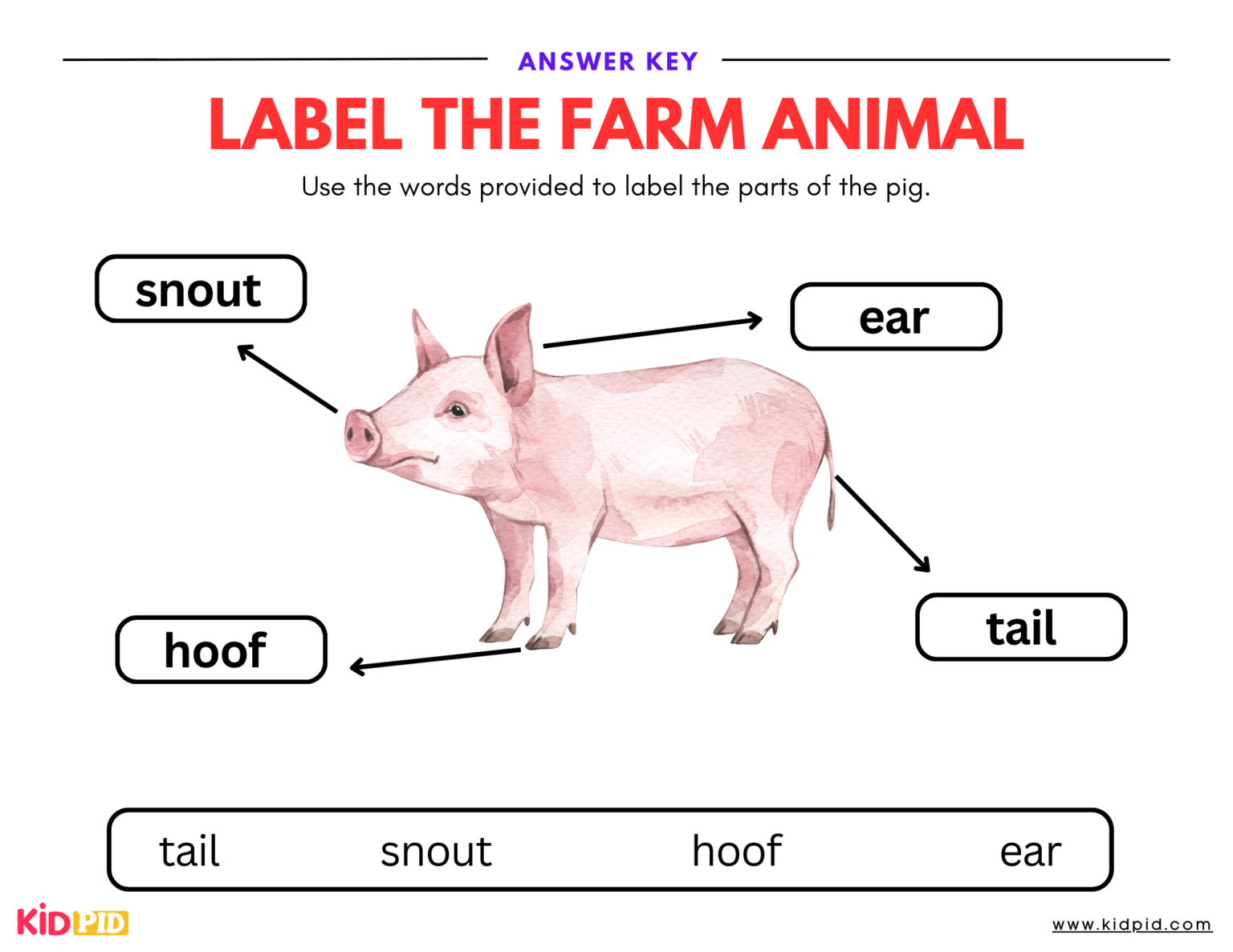 Label The Farm Animals Worksheet - Kidpid