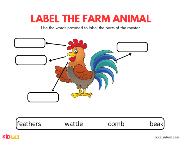 Label The Farm Animals Worksheet - Kidpid