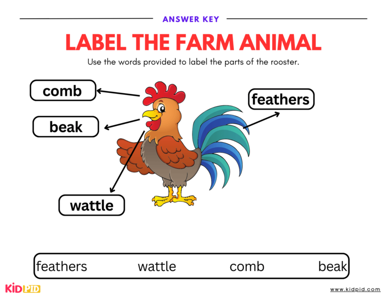 Label The Farm Animals Worksheet - Kidpid
