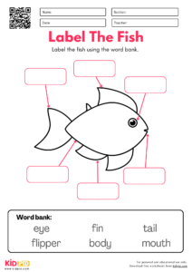 Label The Fish Worksheet - Kidpid