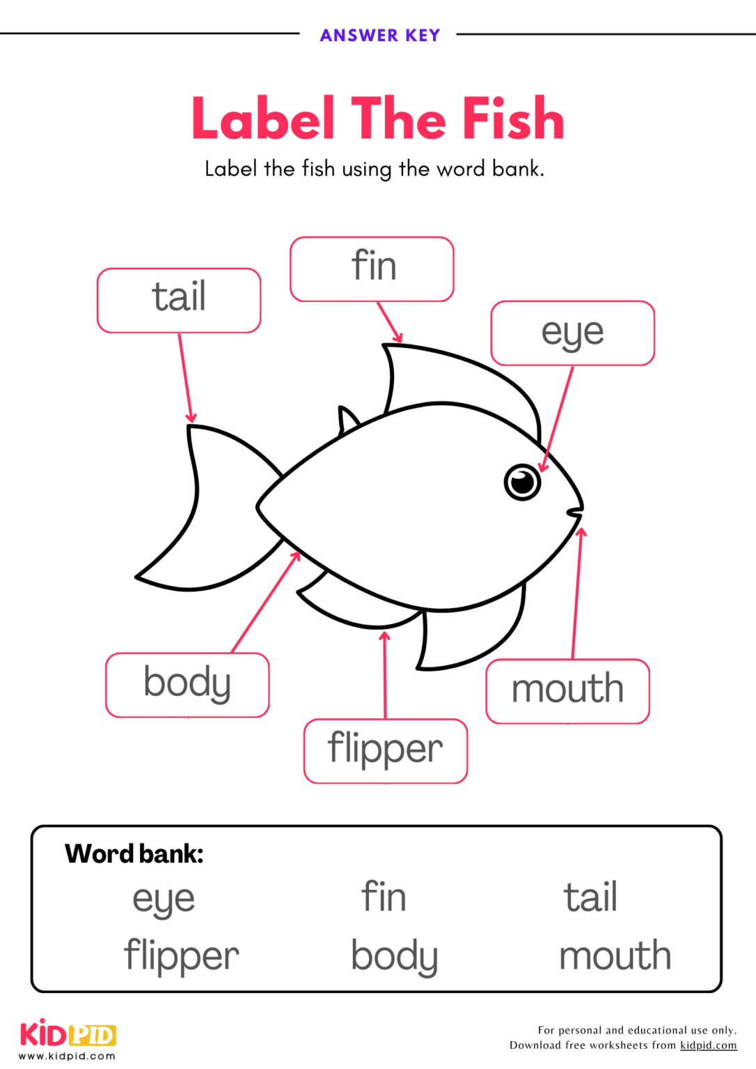 Label The Fish Worksheet - Kidpid