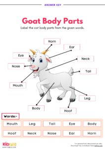 Label the Goat Body Parts Worksheet - Kidpid