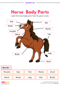 Label the Horse Body Parts Worksheet - Kidpid