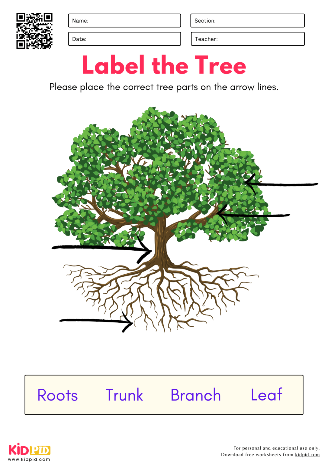 Label the Tree worksheet - Kidpid