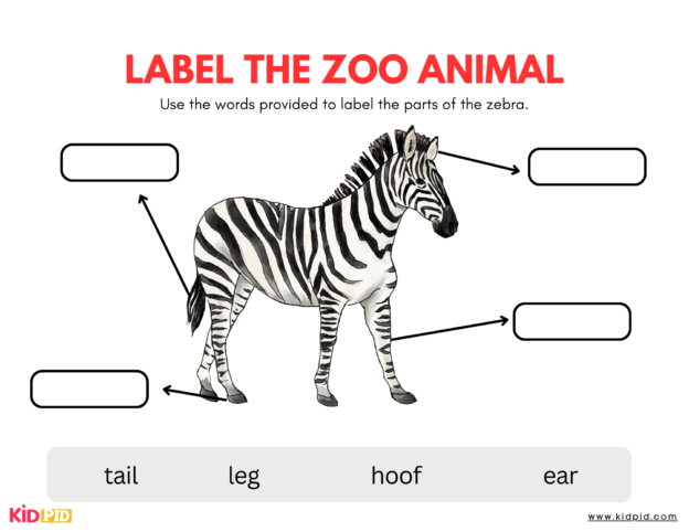 Label The Zoo Animal Worksheet - Kidpid