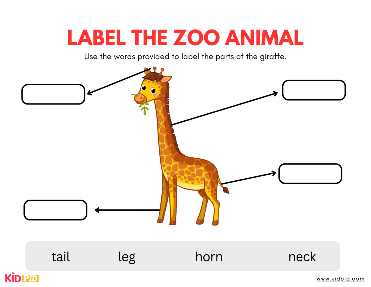 Label The Zoo Animal Worksheet - Kidpid