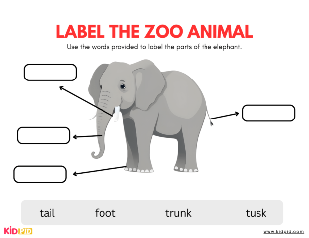 Label The Zoo Animal Worksheet - Kidpid