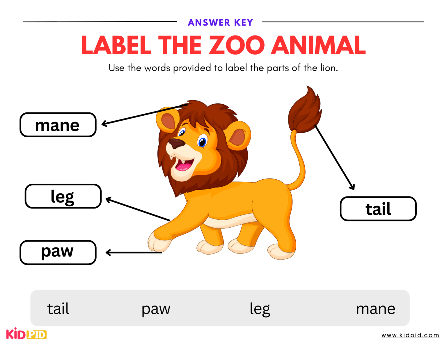 Label The Zoo Animal Worksheet - Kidpid