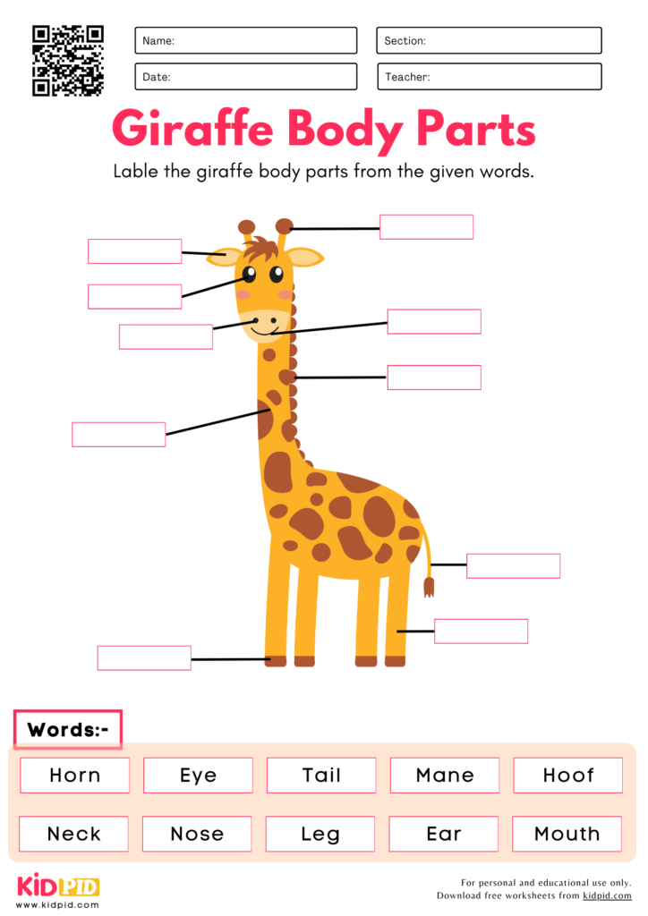 Label the Giraffe Body Parts Worksheet - Kidpid