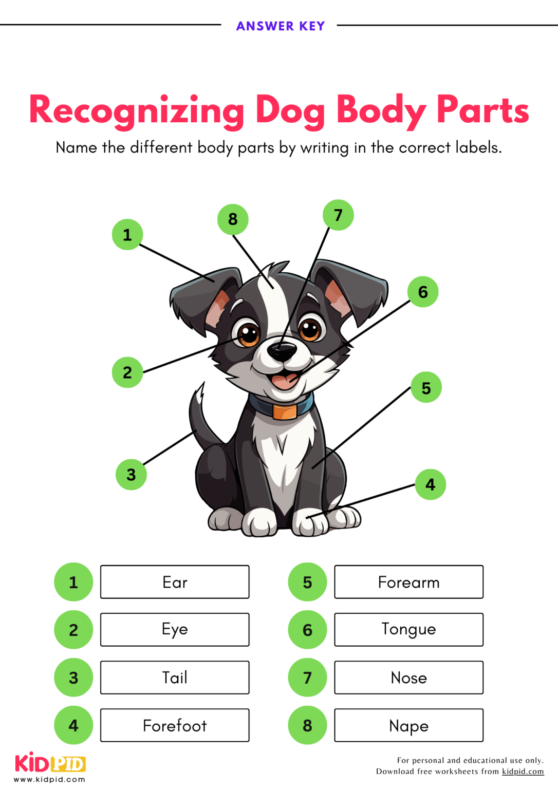 Recognizing Dog Body Parts Worksheet - Kidpid