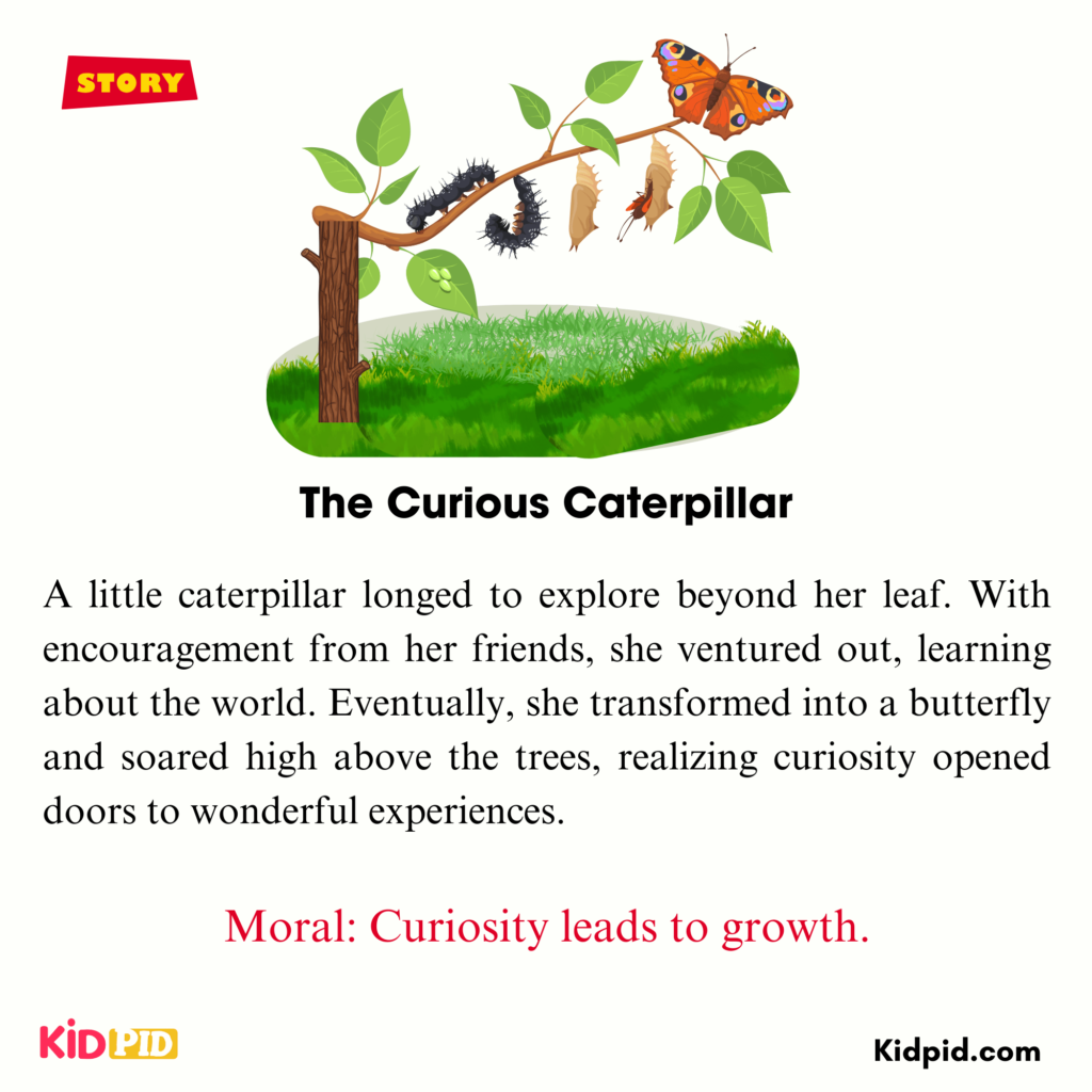 Short Moral Story For Grade 1 - Kidpid