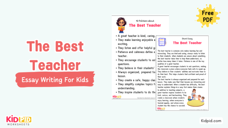 Essay - The Best Teacher - Kidpid