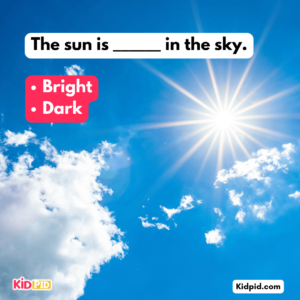 Fill in the Blanks Vocabulary Exercises For Grade 1 - Kidpid