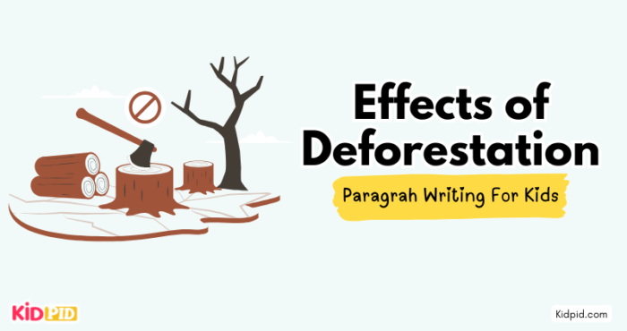 Paragraph on 'Effects of Deforestation' - Kidpid