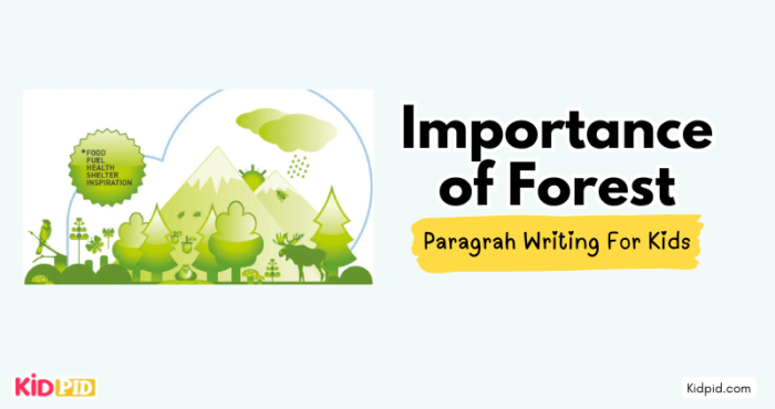 Paragraph on 'Importance of Forest' - Kidpid