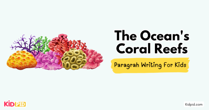 Paragraph on 'The Ocean's Coral Reefs' - Kidpid