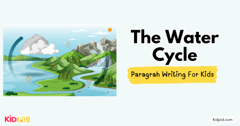 Paragraph on 'The Water Cycle' - Kidpid