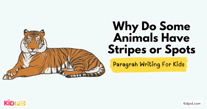 Paragraph on 'Why Do Some Animals Have Stripes or Spots?' - Kidpid