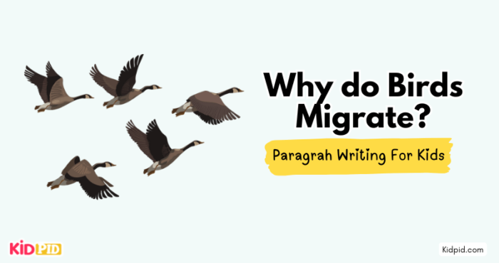 Paragraph on 'Why do Birds Migrate?' - Kidpid