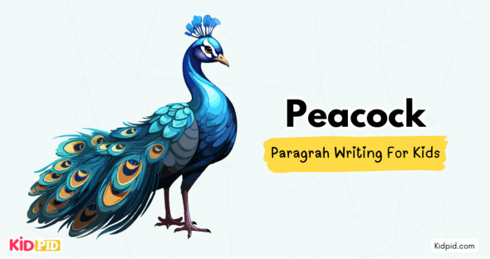 Paragraph on 'Peacock' - Kidpid
