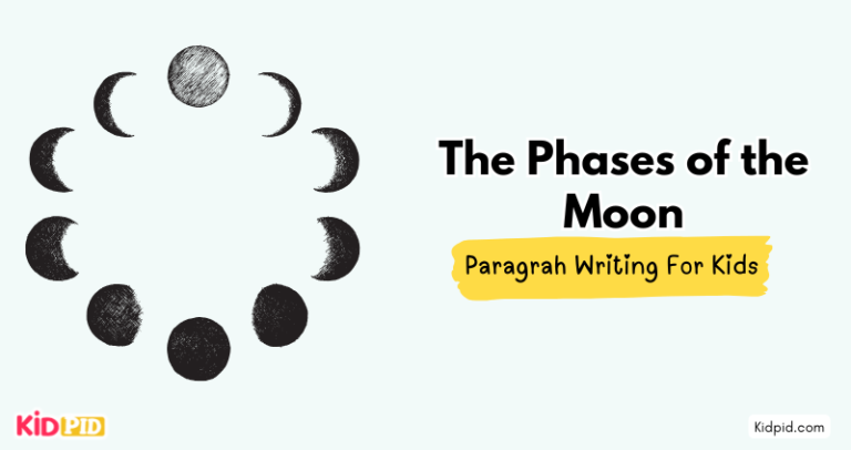 Paragraph on 'The Phases of the Moon' - Kidpid