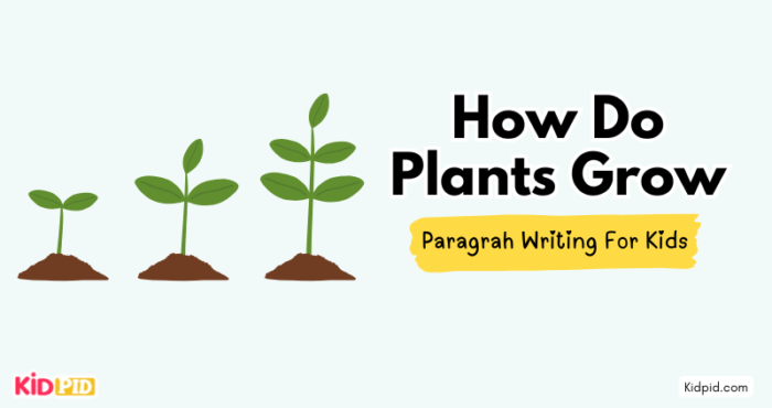 Paragraph on 'How Do Plants Grow?' - Kidpid
