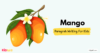 Paragraph on 'Mango' - Kidpid