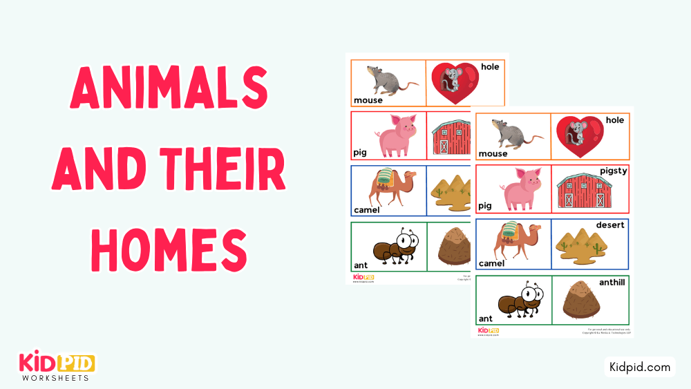 Animals and Their Homes - Book for Kids - Kidpid