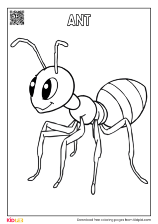 Insects Coloring Pages For Kids - Kidpid