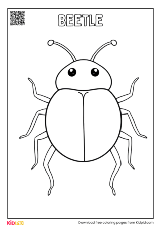 Insects Coloring Pages For Kids - Kidpid