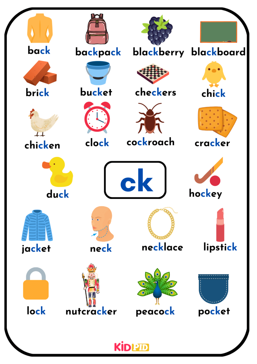 CVC Phonics Word Book - Kidpid
