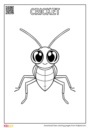Insects Coloring Pages For Kids - Kidpid