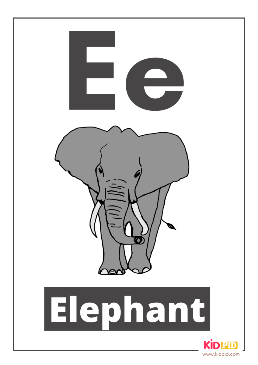 English Alphabet Vocabulary Book for Kids - Kidpid