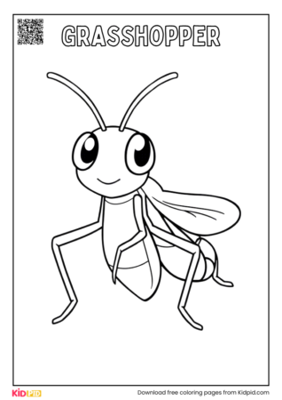 Insects Coloring Pages For Kids - Kidpid