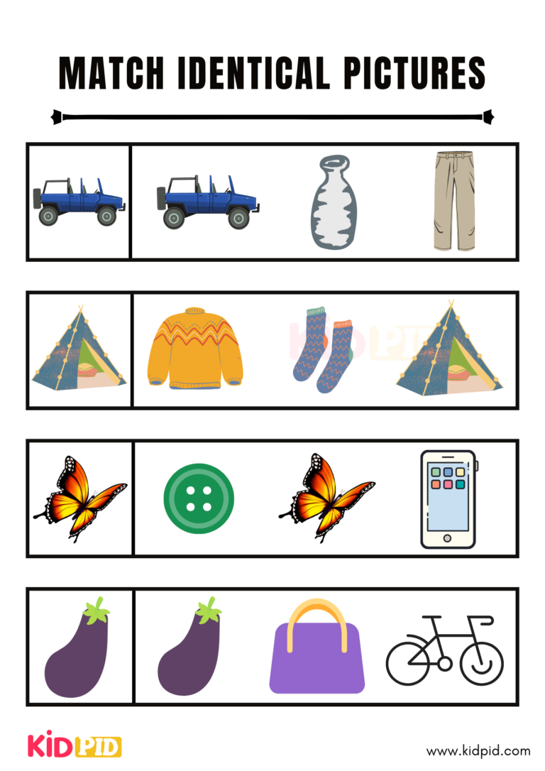 Match Identical Pictures Workbook - Kidpid
