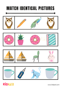 Match Identical Pictures Workbook - Kidpid