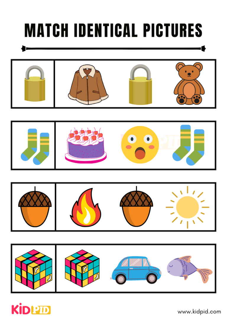 Match Identical Pictures Workbook - Kidpid